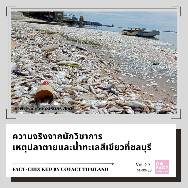 Cofact – พื้นที่เปิดให้ทุกคนมาช่วยกันตรวจสอบข่าวลวง | Cofact